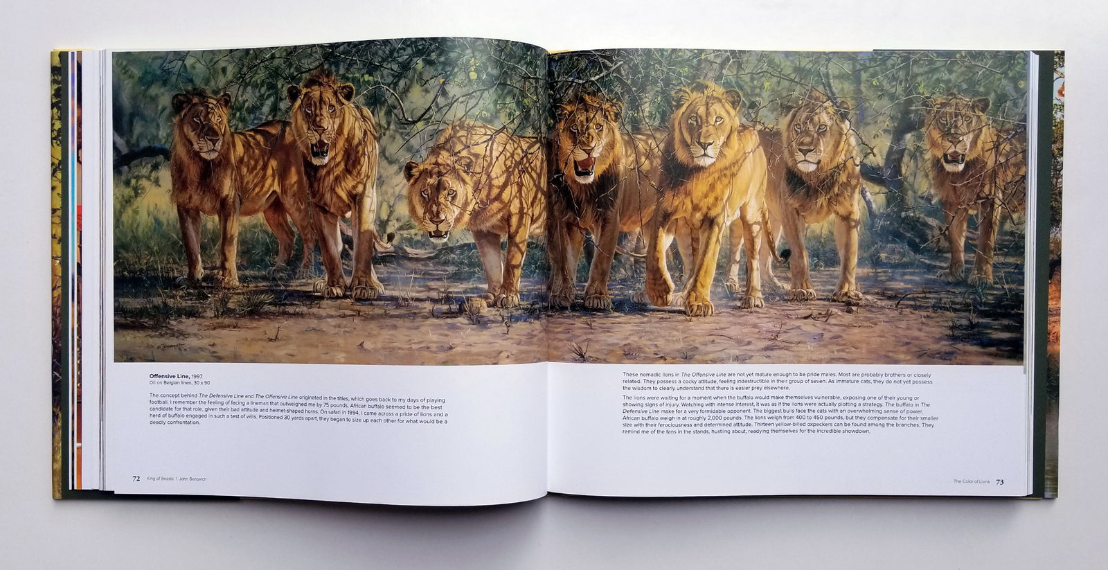 King of Beasts: A Study of the African Lion - Deluxe Edition - Signed ...