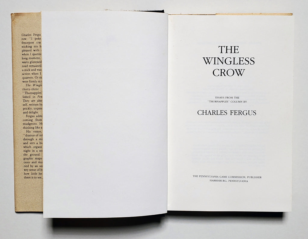 The Wingless Crow – Sporting Classics Store