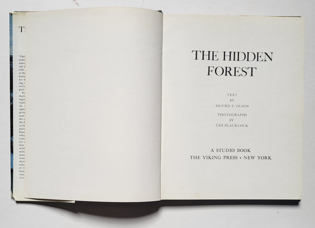 The Hidden Forest – Sporting Classics Store
